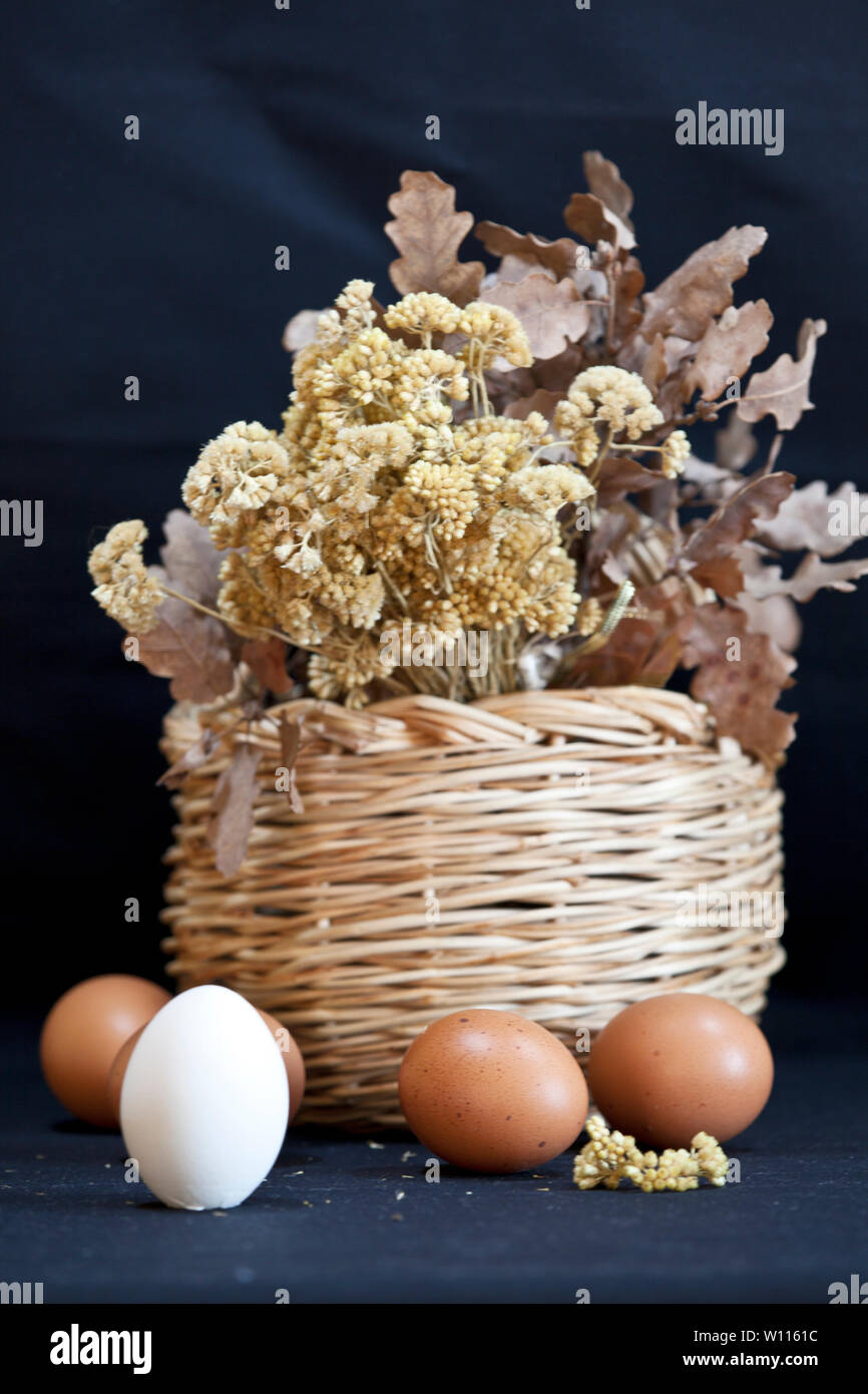 Fleurs et fruits sur fond noir Banque de photographies et d’images à ...
