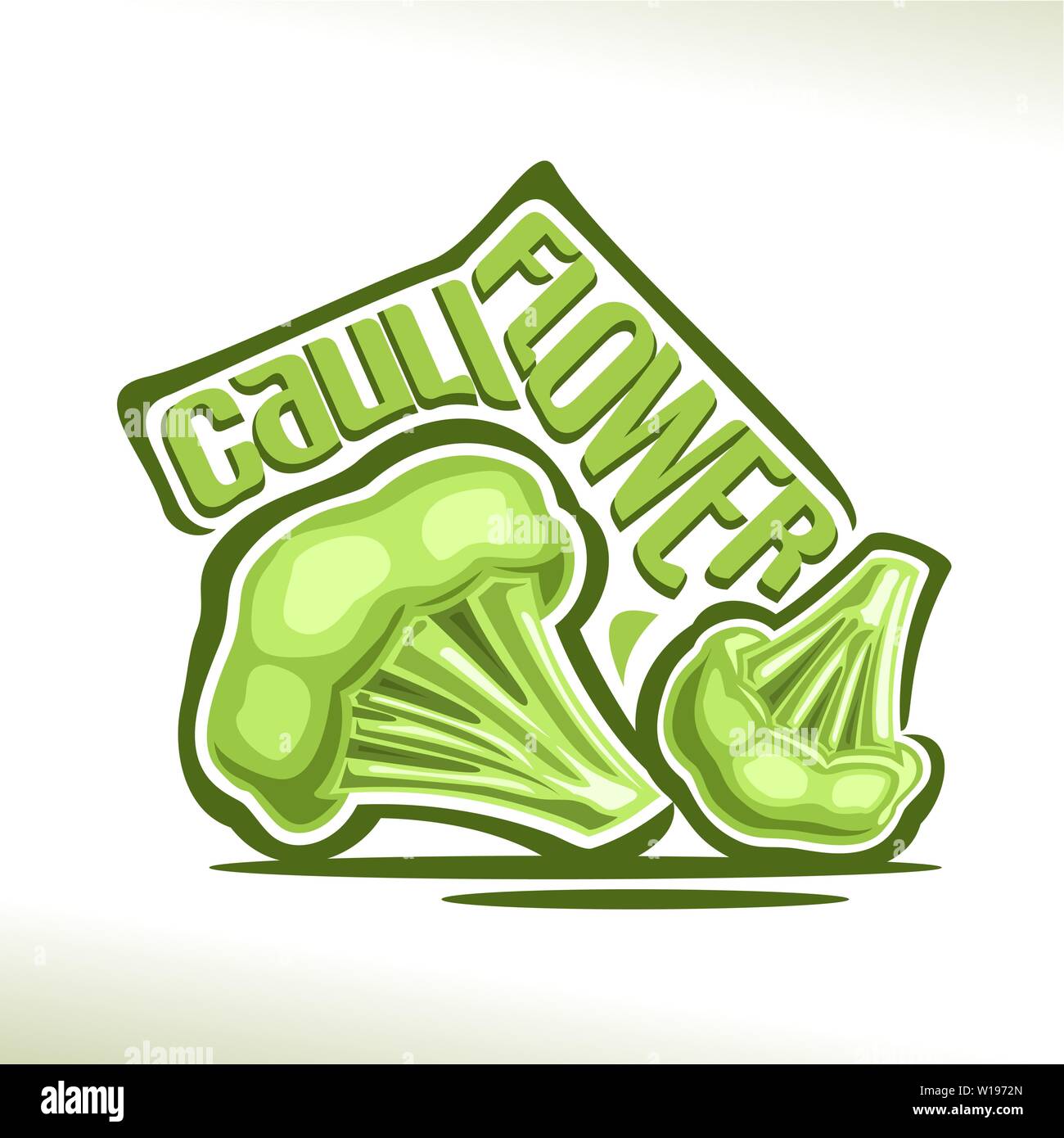 Choux fleurs biologiques Banque d'images vectorielles - Alamy