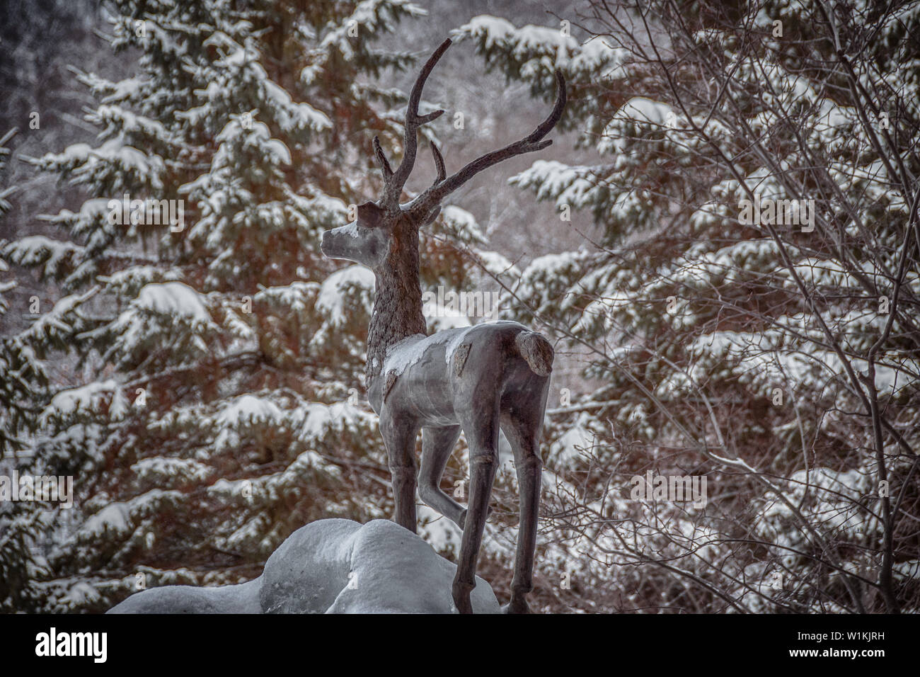 Deerhurst lodge Banque de photographies et d’images à haute résolution ...