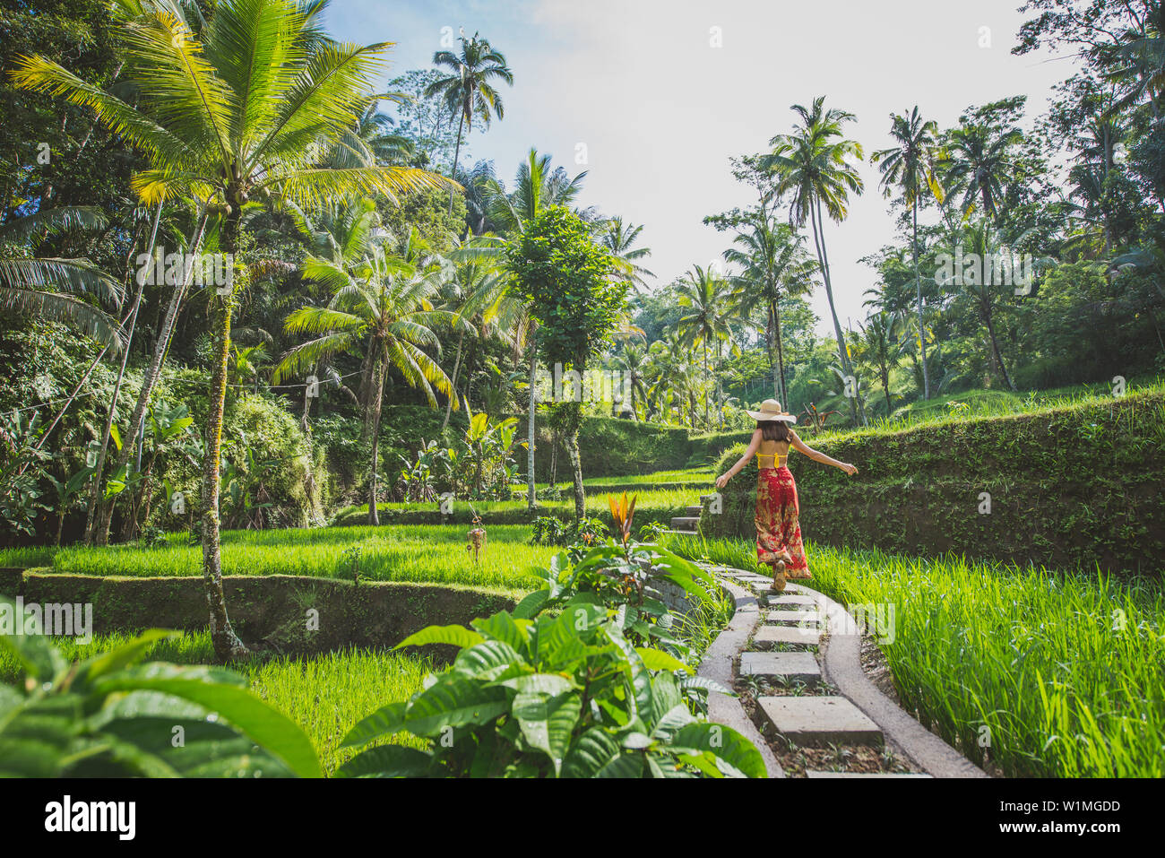 Belle fille visiter les rizières de Bali, ubud à tegalalang. Concept à ...