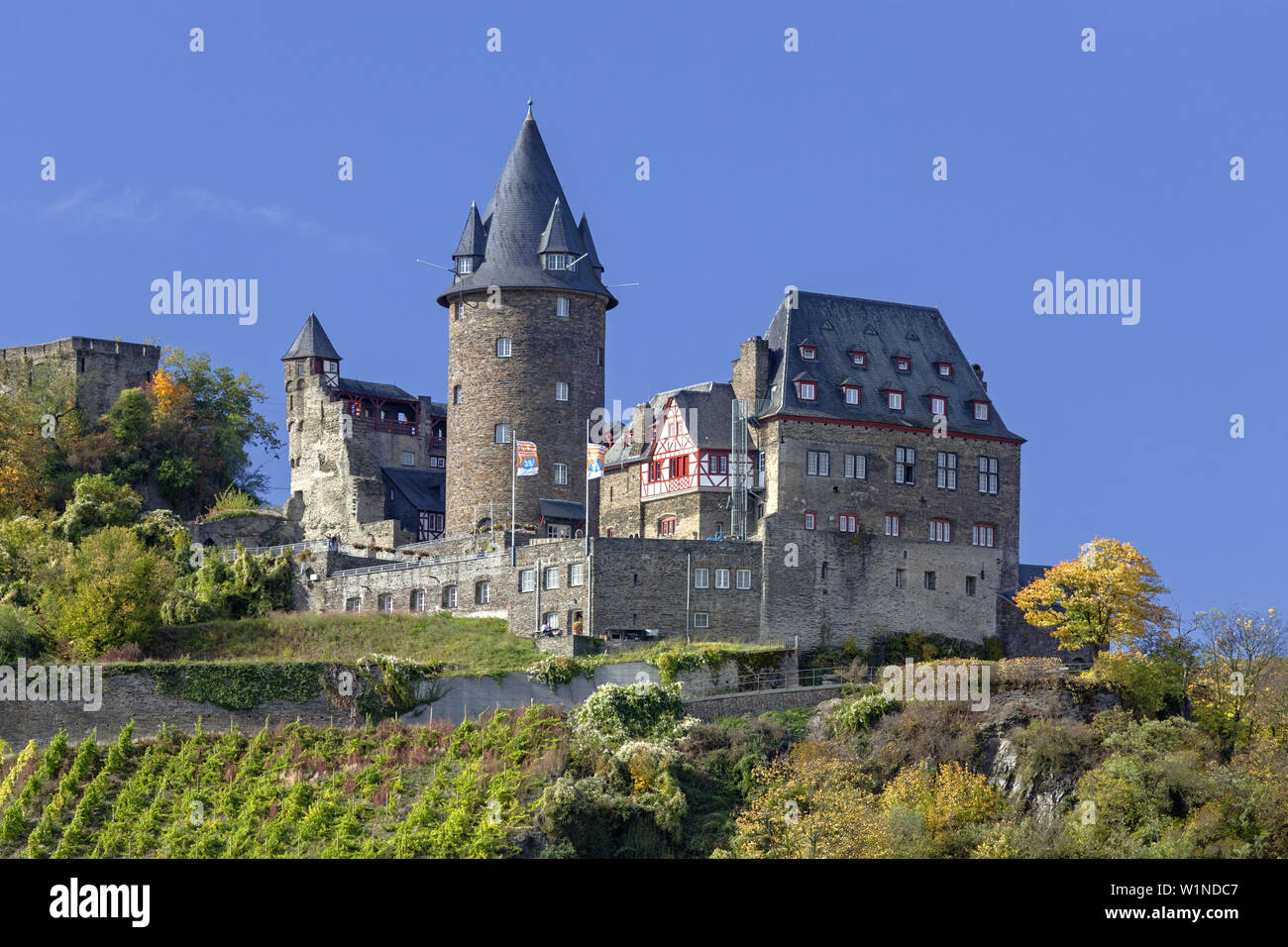 Vue sur le Rhin à Burg château Stahleck, près de Bacharach, Vallée du ...