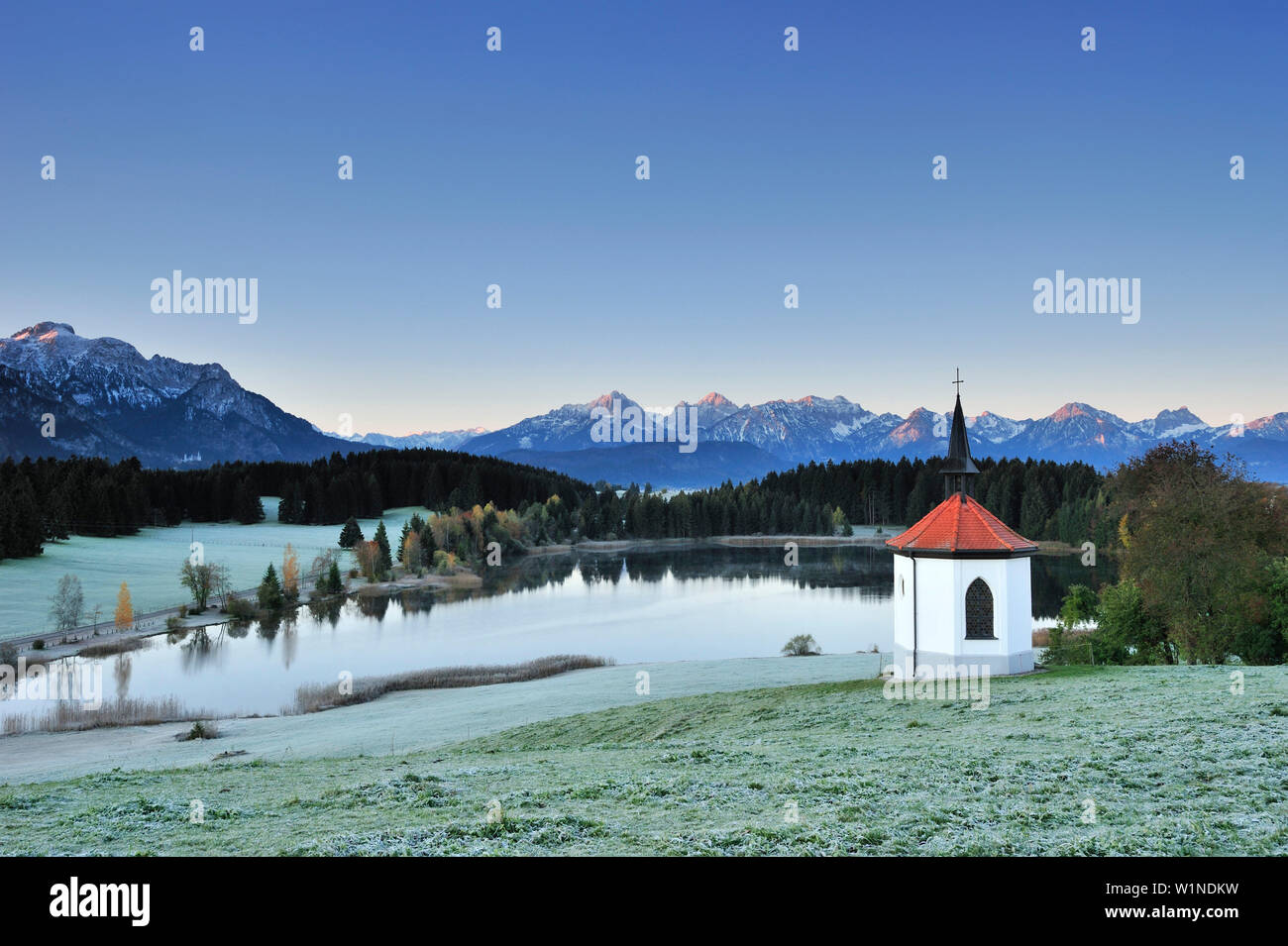 Lac forggensee allgaeu bavière Banque de photographies et d’images à ...
