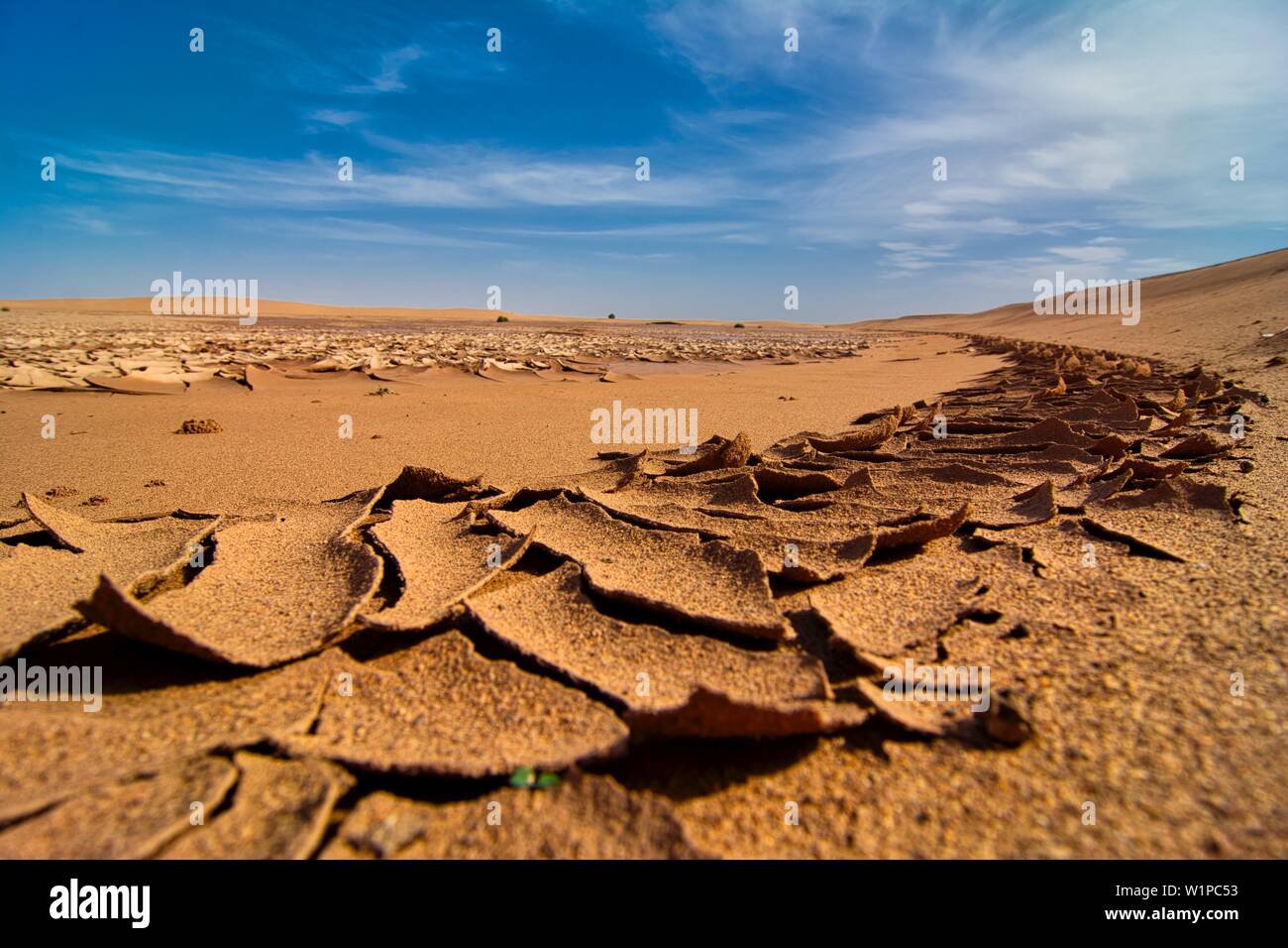 Sol sec du désert, sol fissuré à l'Erg Chegaga, Sahara, Maroc Photo ...