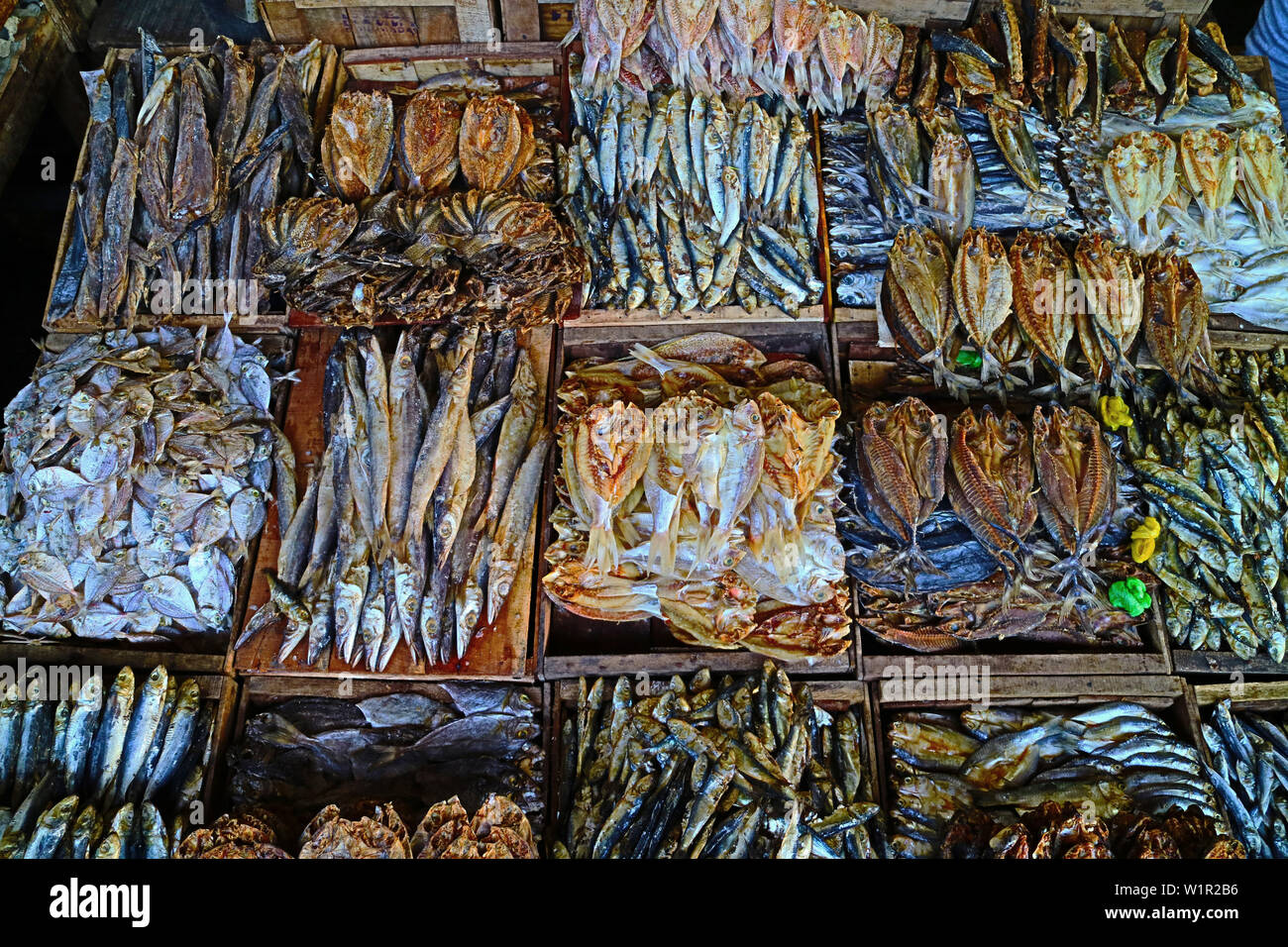 Poisson séché Banque de photographies et d’images à haute résolution ...