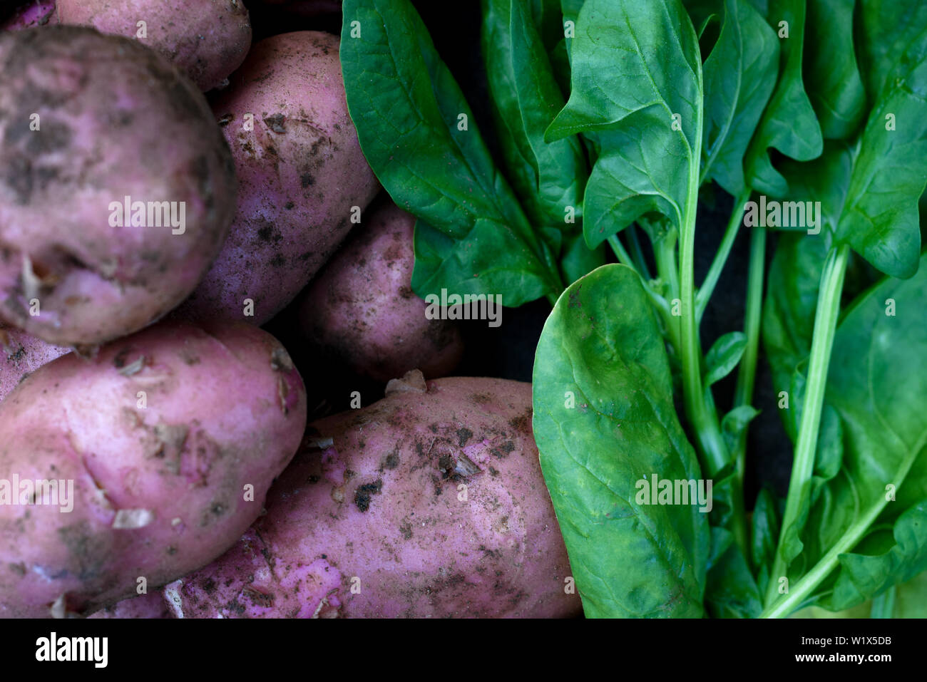 Produits frais bio légumes cultivés sur place. Denrées de potager, les ... Produits frais bio légumes cultivés sur place. Denrées de potager, les ...