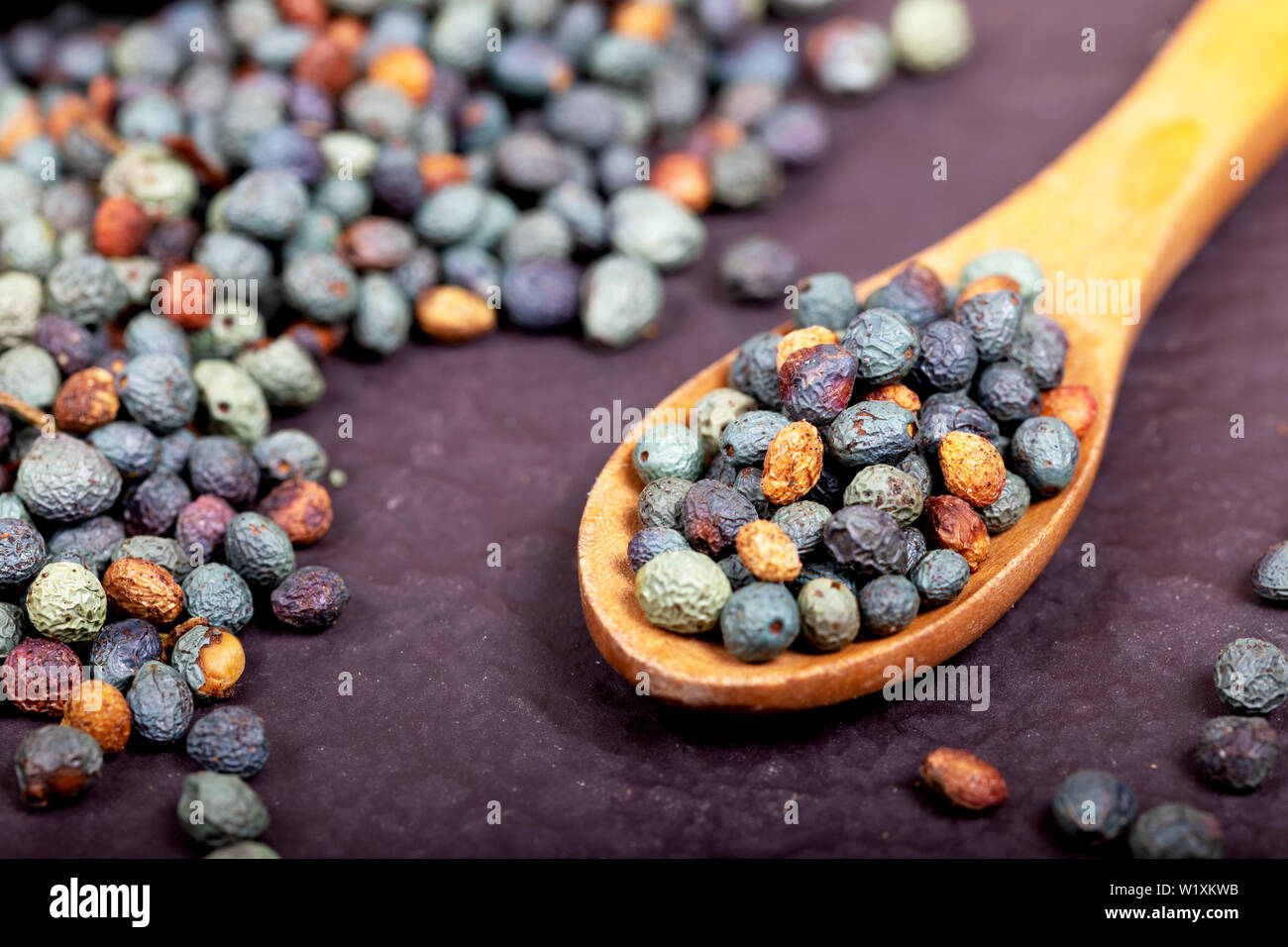 Micocoulier graine Banque de photographies et d’images à haute ...