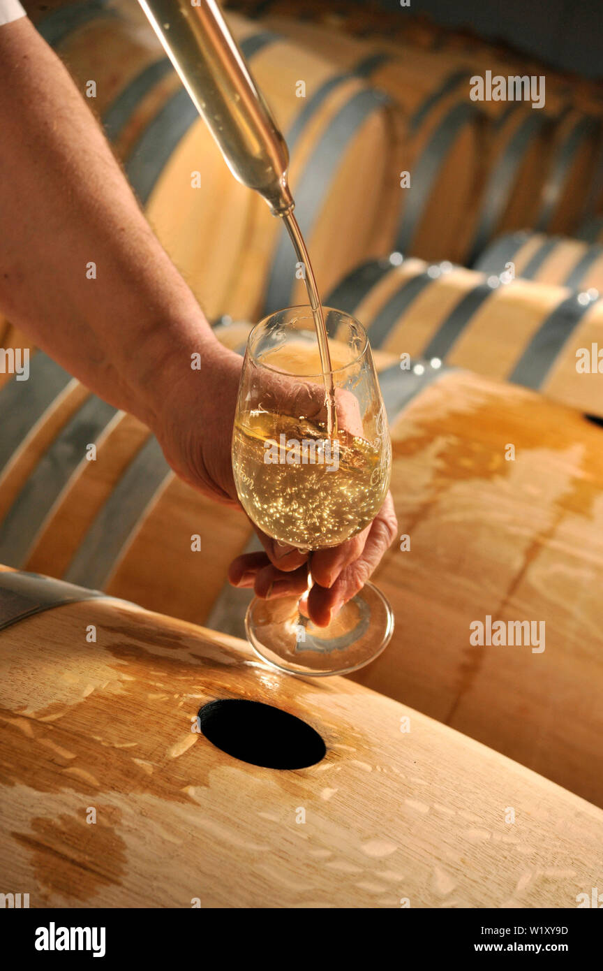 Salon du vin Banque de photographies et d’images à haute résolution - Alamy