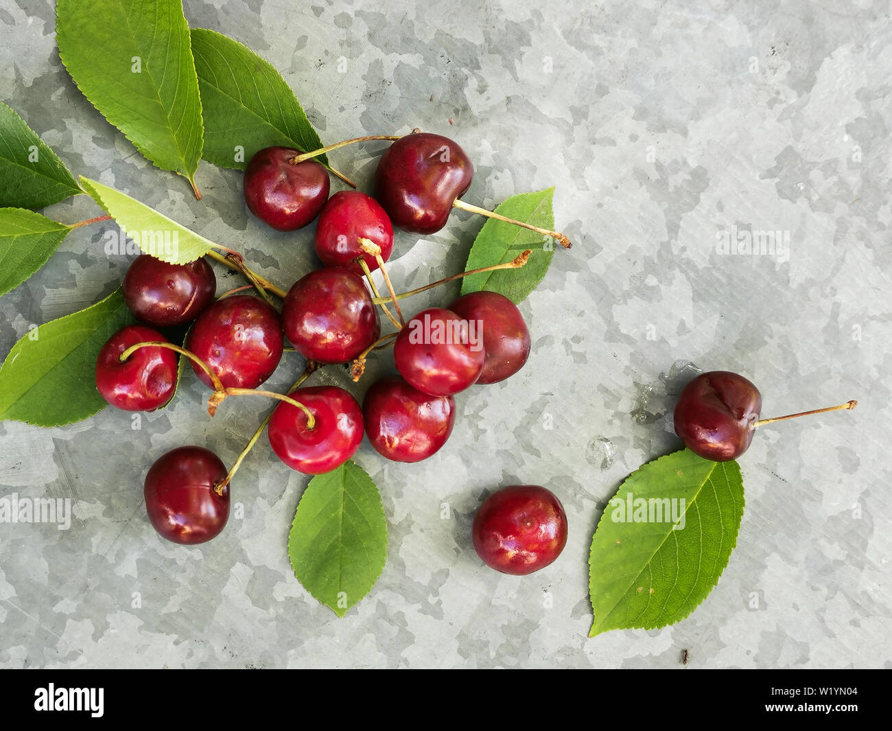 Belle cerise sur le tableau et sur la soucoupe. Des cerises et des ...