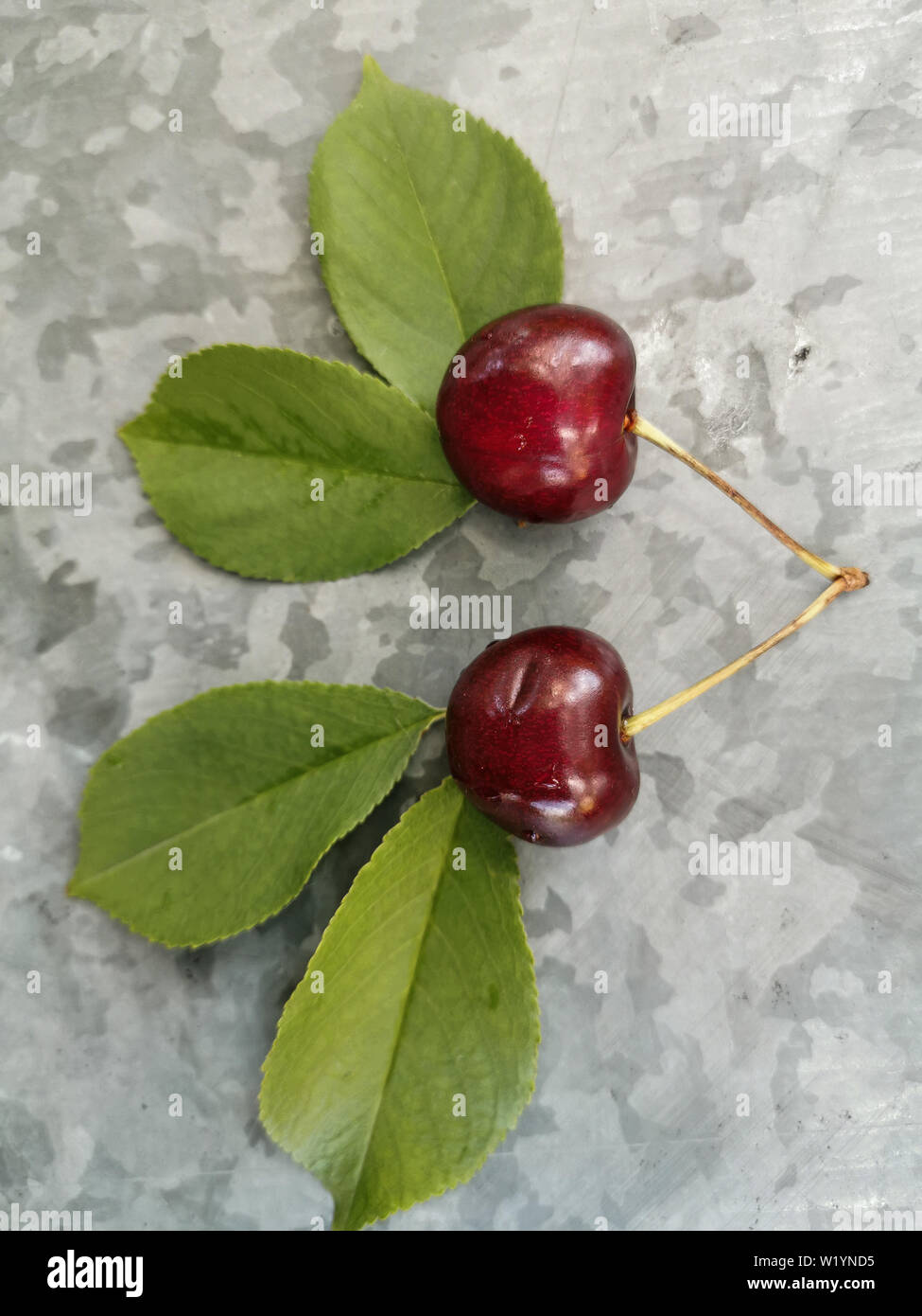 Belle cerise sur le tableau et sur la soucoupe. Des cerises et des ...