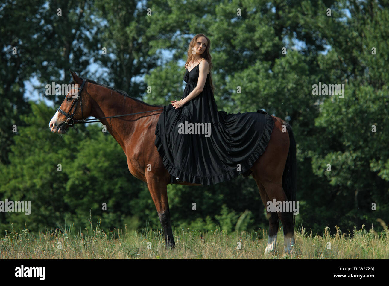 Robe de cheval Banque de photographies et d’images à haute résolution ...