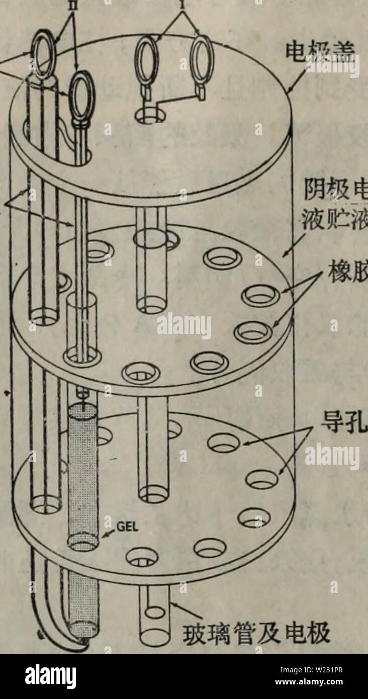 Jiao bai Banque de photographies et d’images à haute résolution - Alamy
