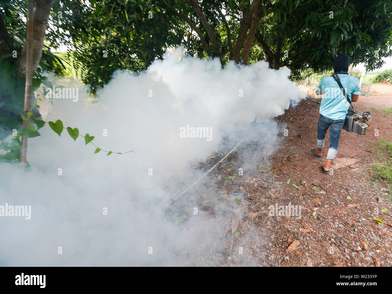 Un agent de santé fumigates pour empêcher la propagation de la dengue ...