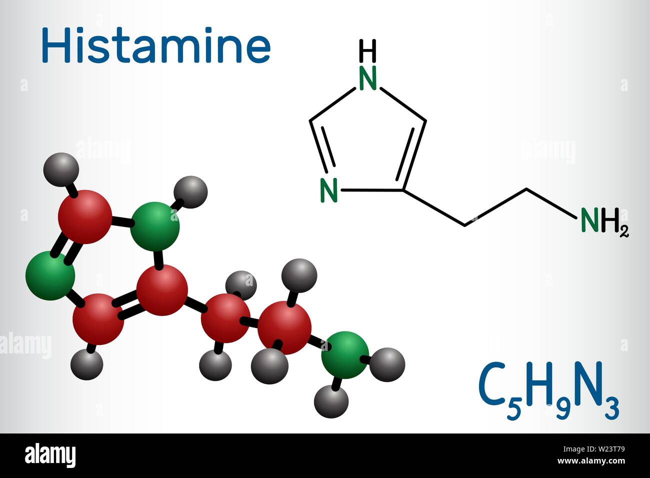 Molécule d'histamine. C'est amine, composés azotés, stimulant de la ...