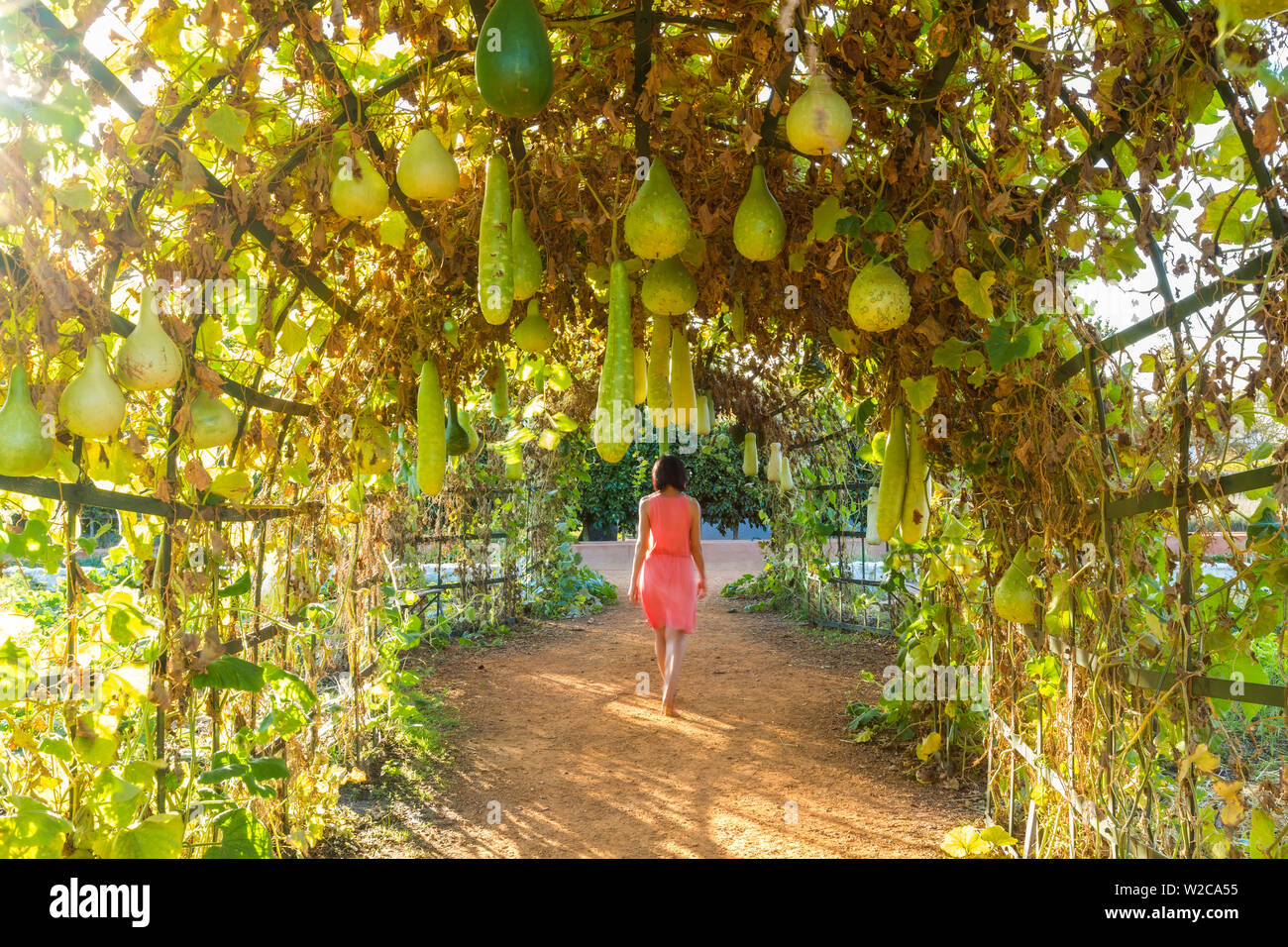 La calebasse africaine Banque de photographies et d’images à haute résolution - Alamy