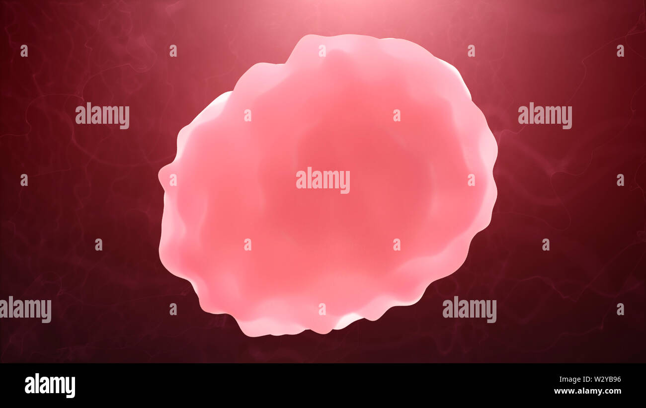 T cell b cell Banque de photographies et d’images à haute résolution ...