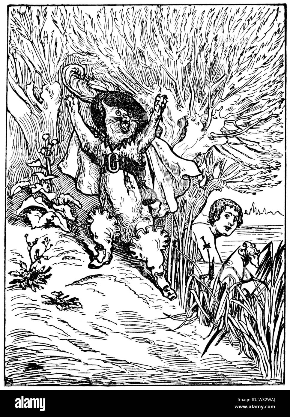 Le chat maître ou le chat botté Banque d'images noir et blanc - Alamy