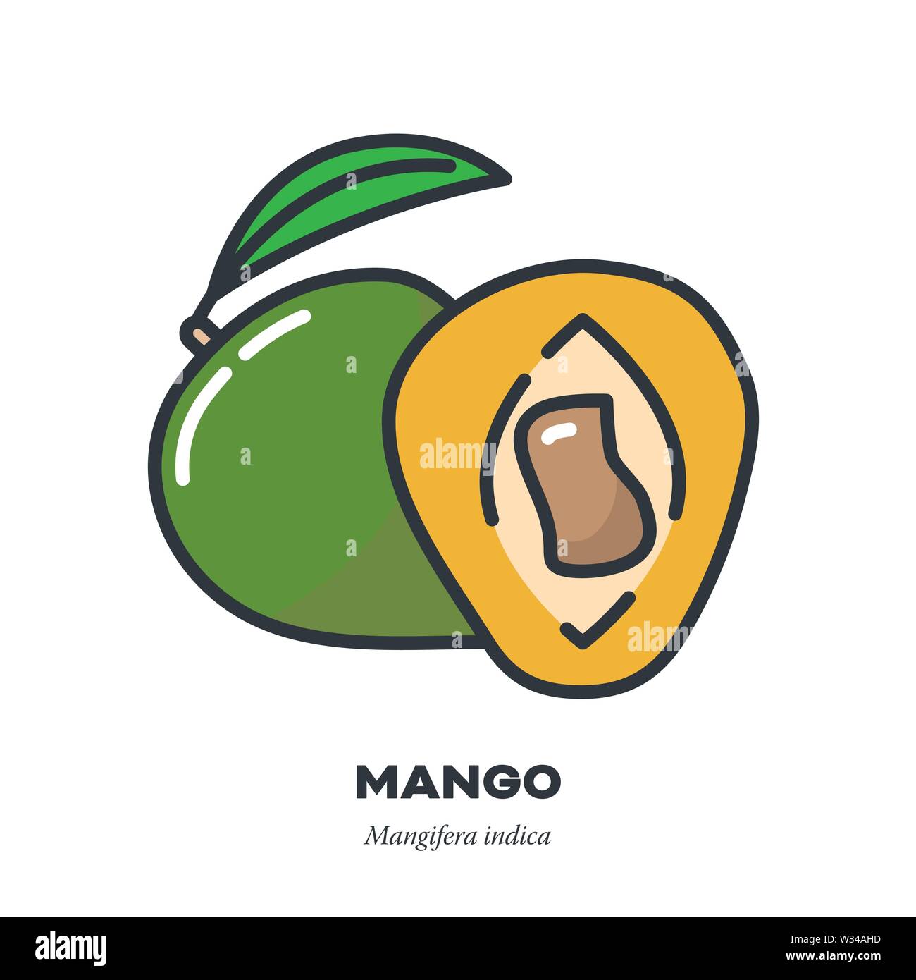 Cartoon mango fruit Banque de photographies et d’images à haute ...