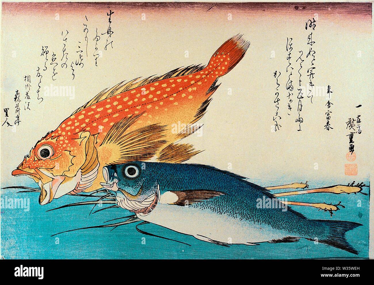 Kasogo Himedai 姫鯛 (Crimson, snapper, mer-perchaude,Snapper) estampe de ...