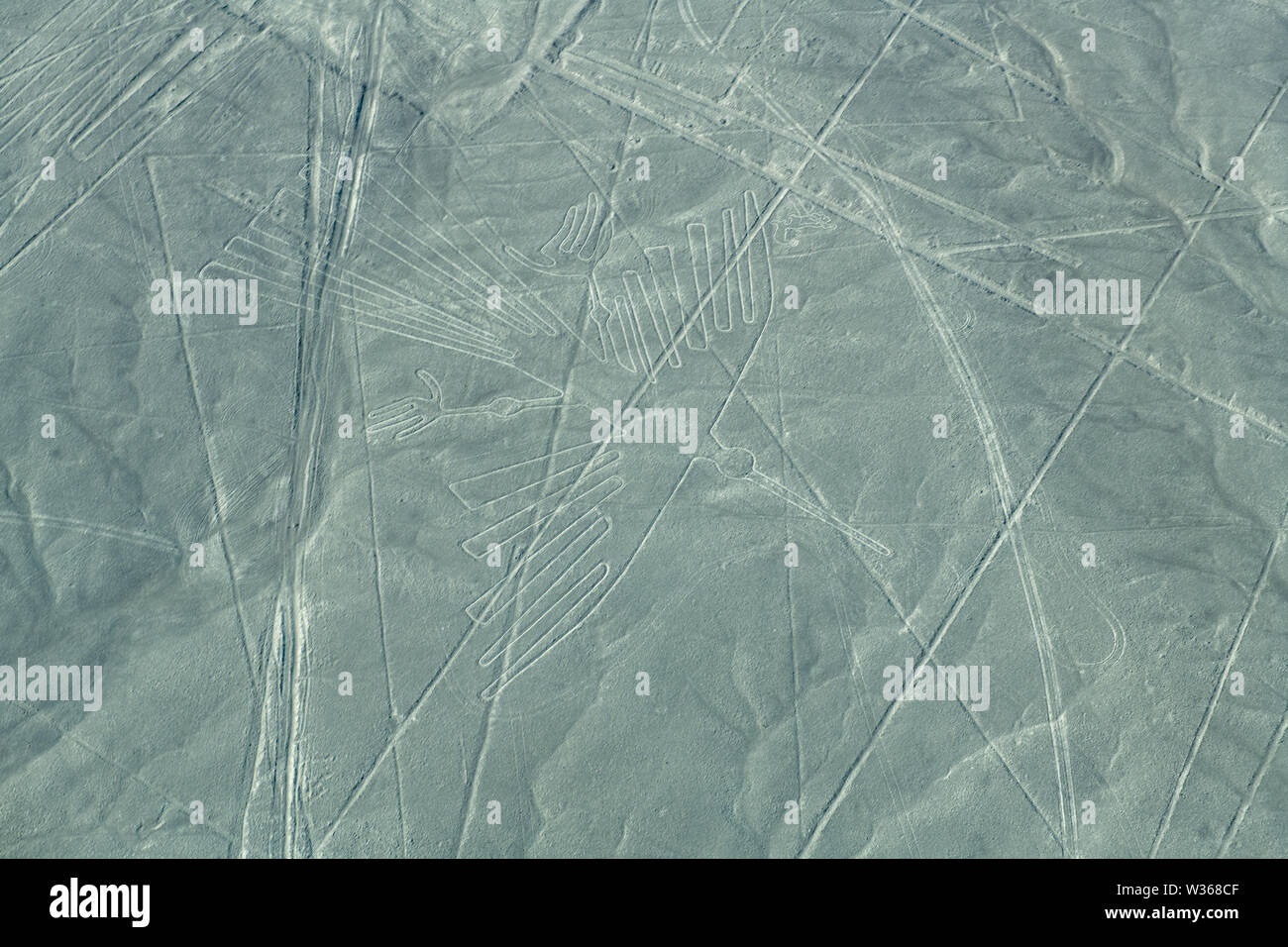 Lignes de nazca condor Banque de photographies et d’images à haute ...
