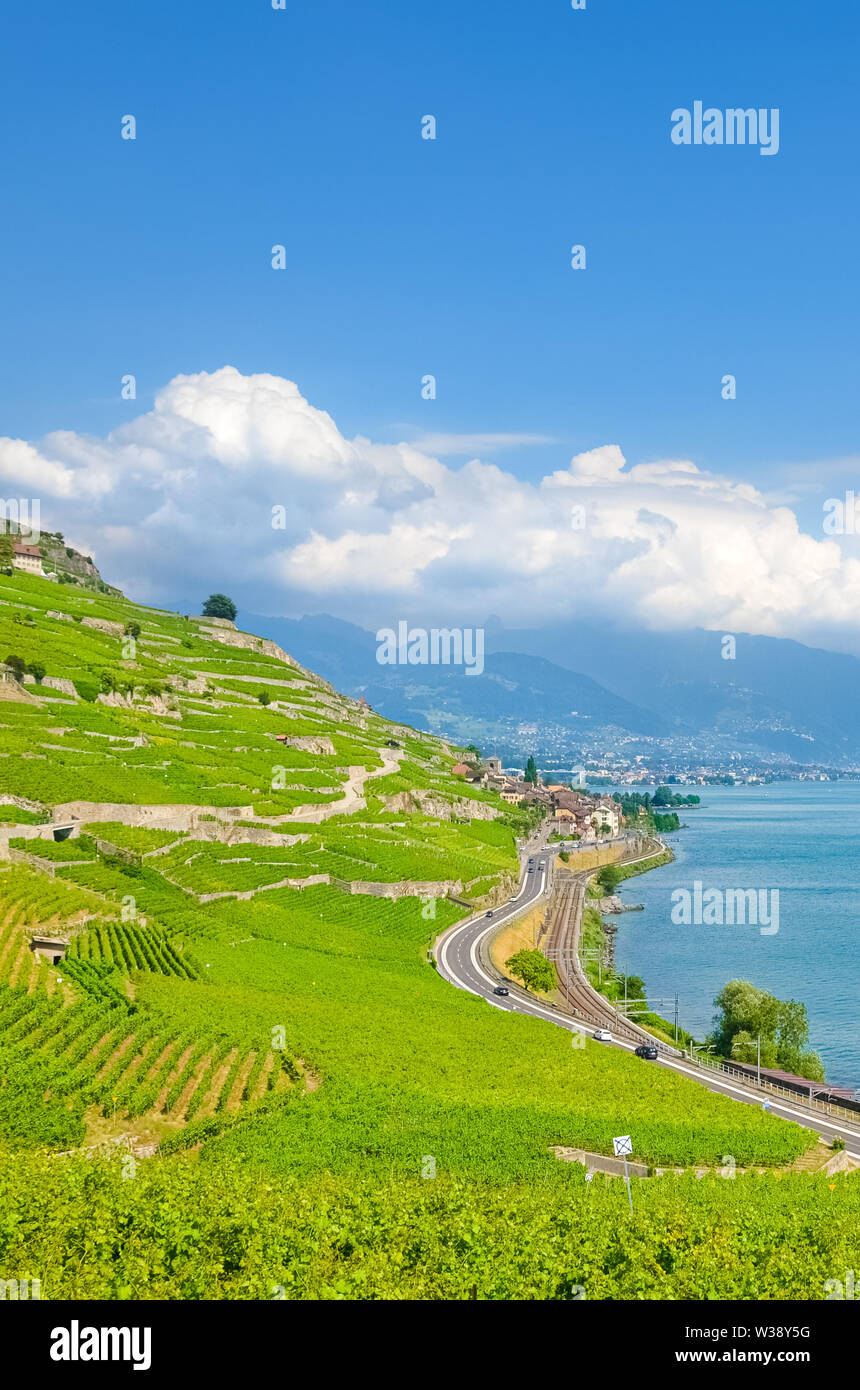 Beaux vignobles en terrasses sur les pentes par Swiss Geneva Lake, Lac ...