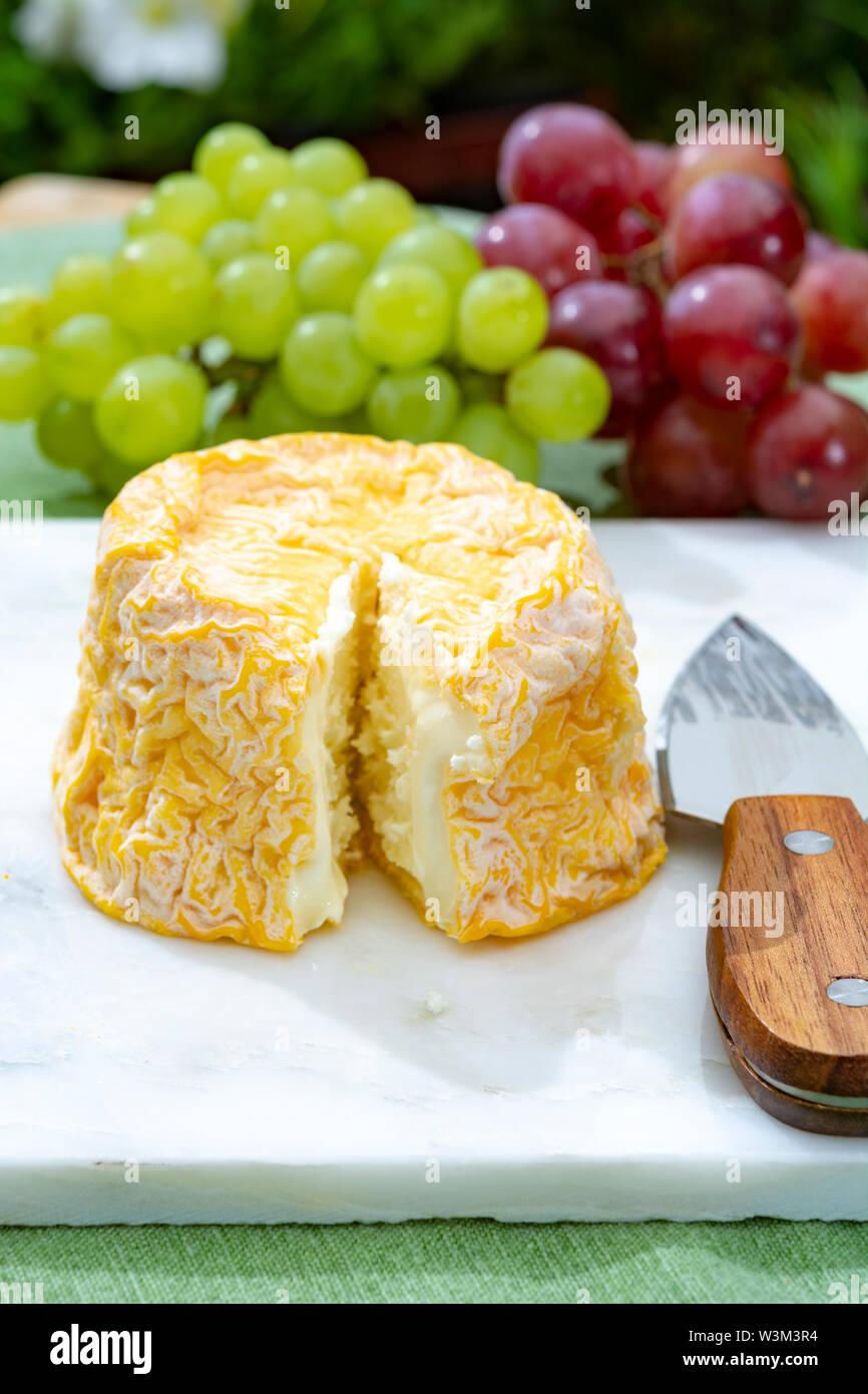 Langres, lait de vache française fromage doux, crémeux et friable avec ...