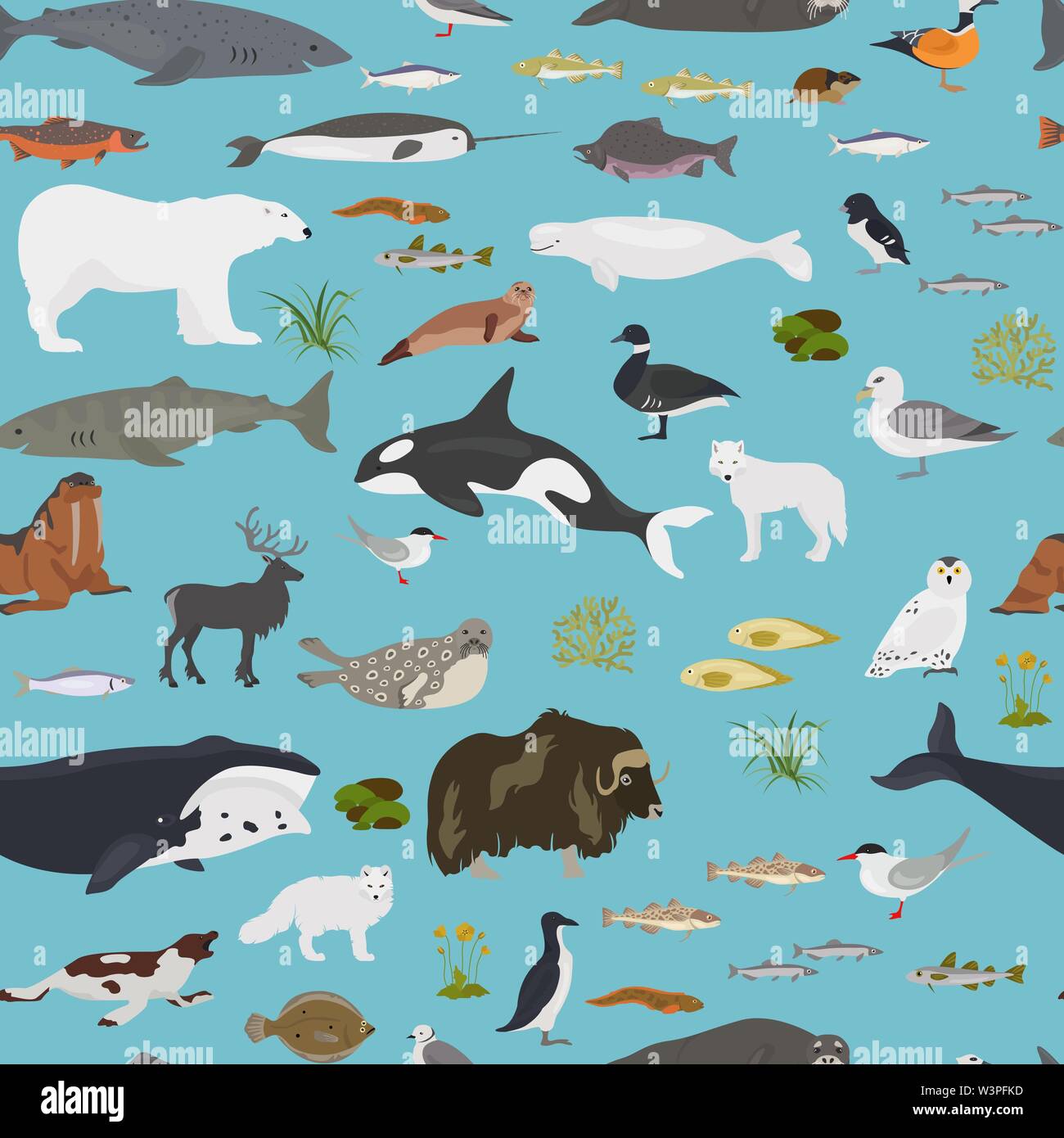 Carte du biome Banque de photographies et d’images à haute résolution ...