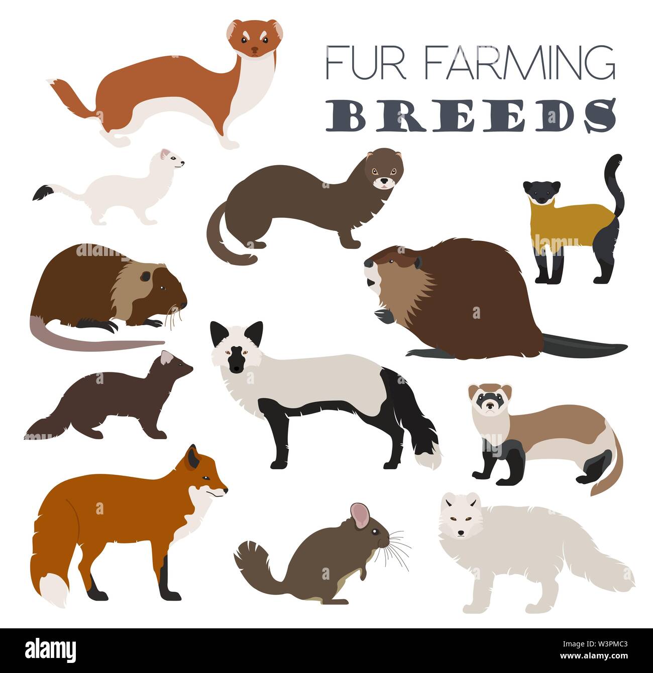 L'élevage des animaux à fourrure. Modèle plat. Vector illustration ...