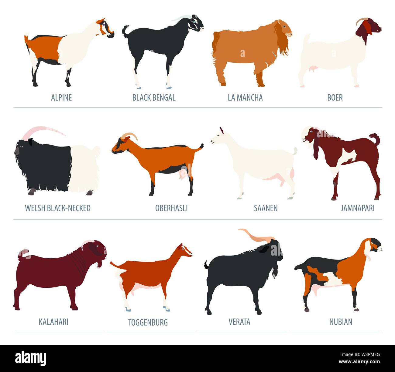 Races de chèvre icon set. L'élevage. Modèle plat. Vector illustration ...