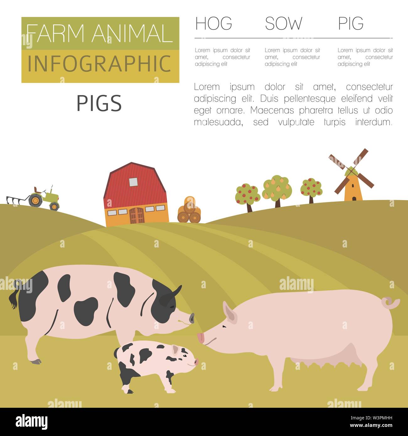L'élevage porcin infographic template. Porc, truie, cochon famille ...