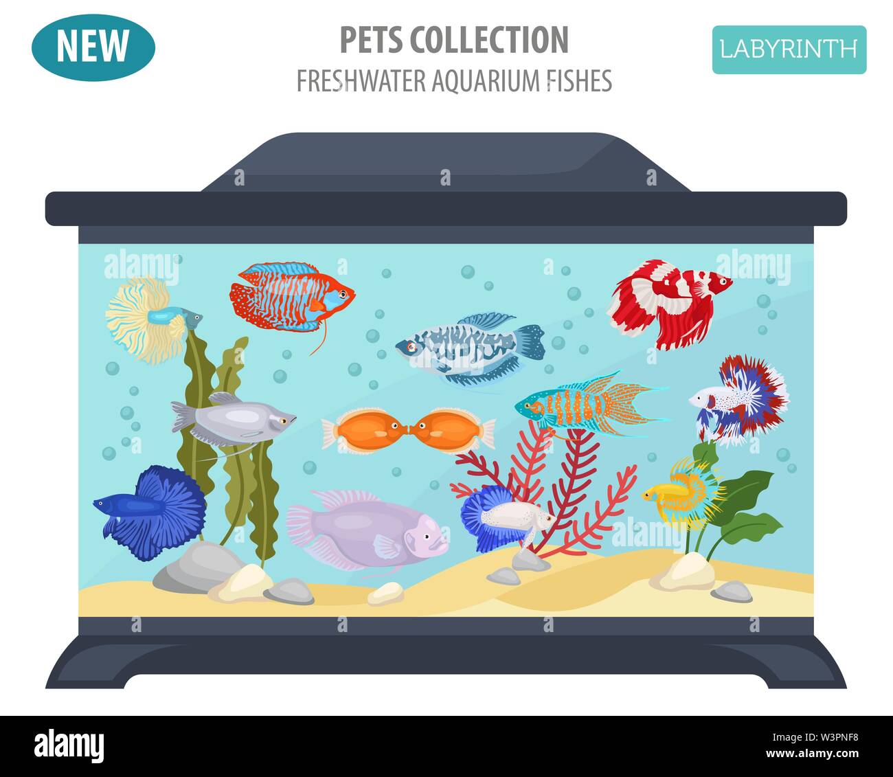 Les poissons d'aquarium d'eau douce se reproduit icon set style plat ...