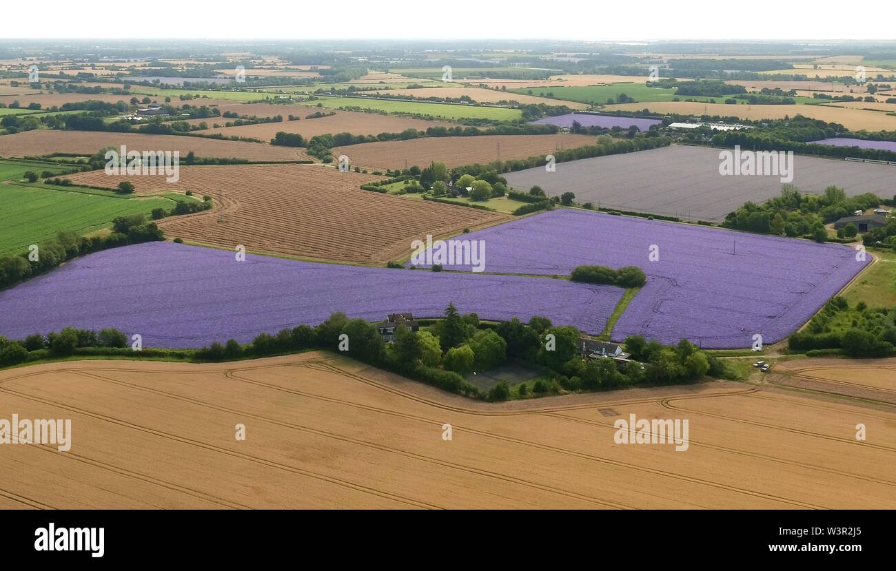 Village feering Banque de photographies et d’images à haute résolution ...