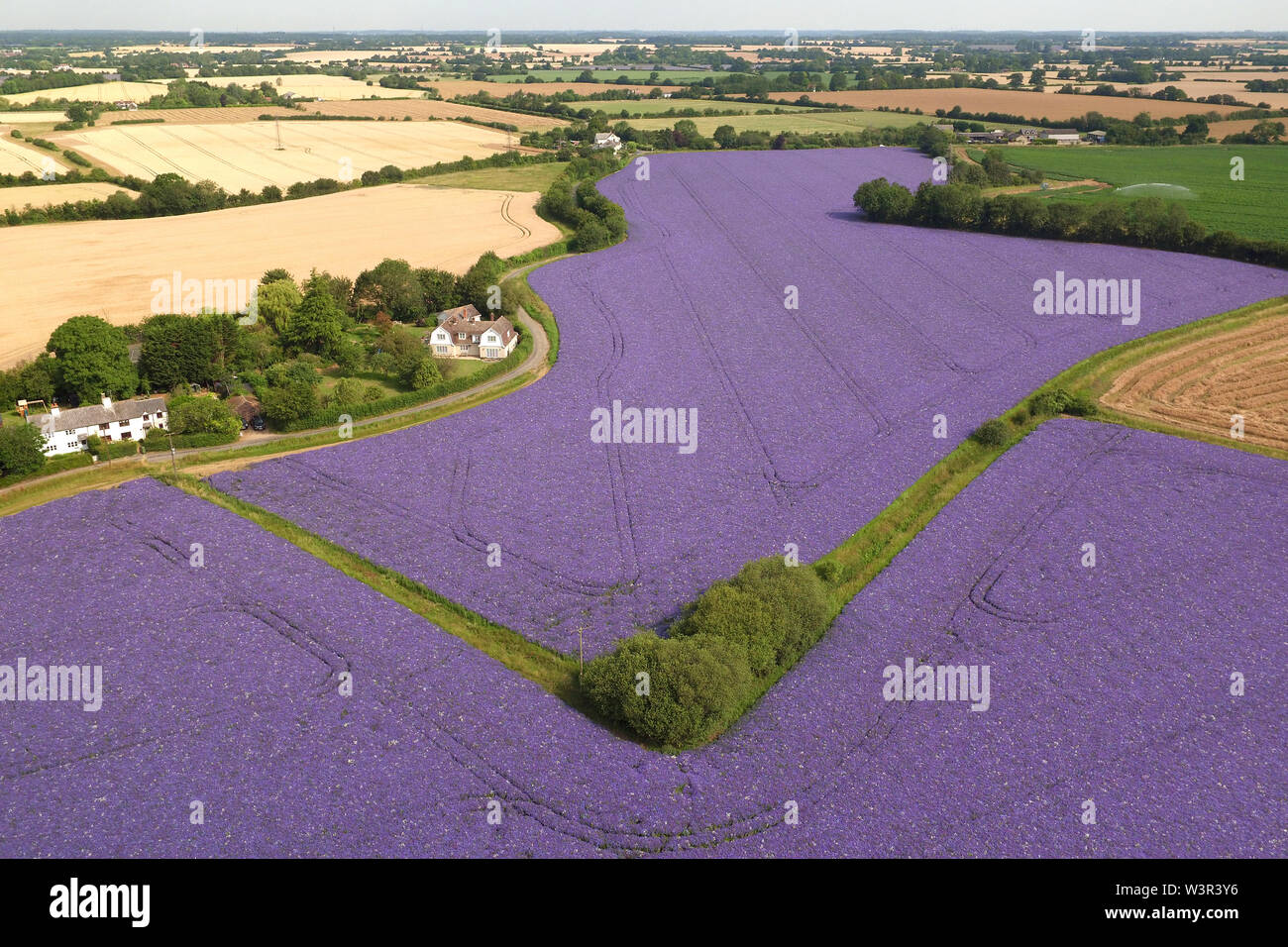 Village feering Banque de photographies et d’images à haute résolution ...