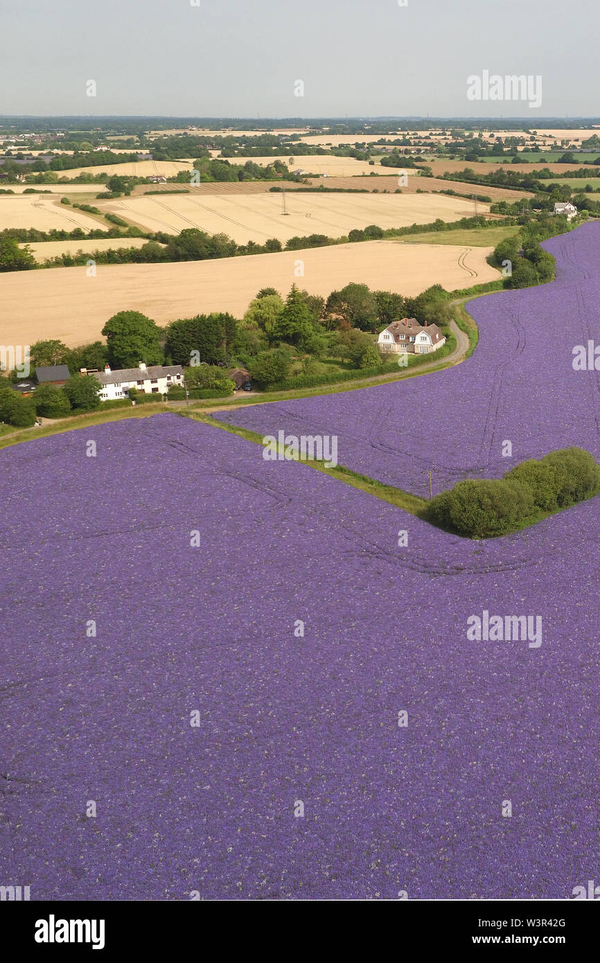 Village feering Banque de photographies et d’images à haute résolution ...