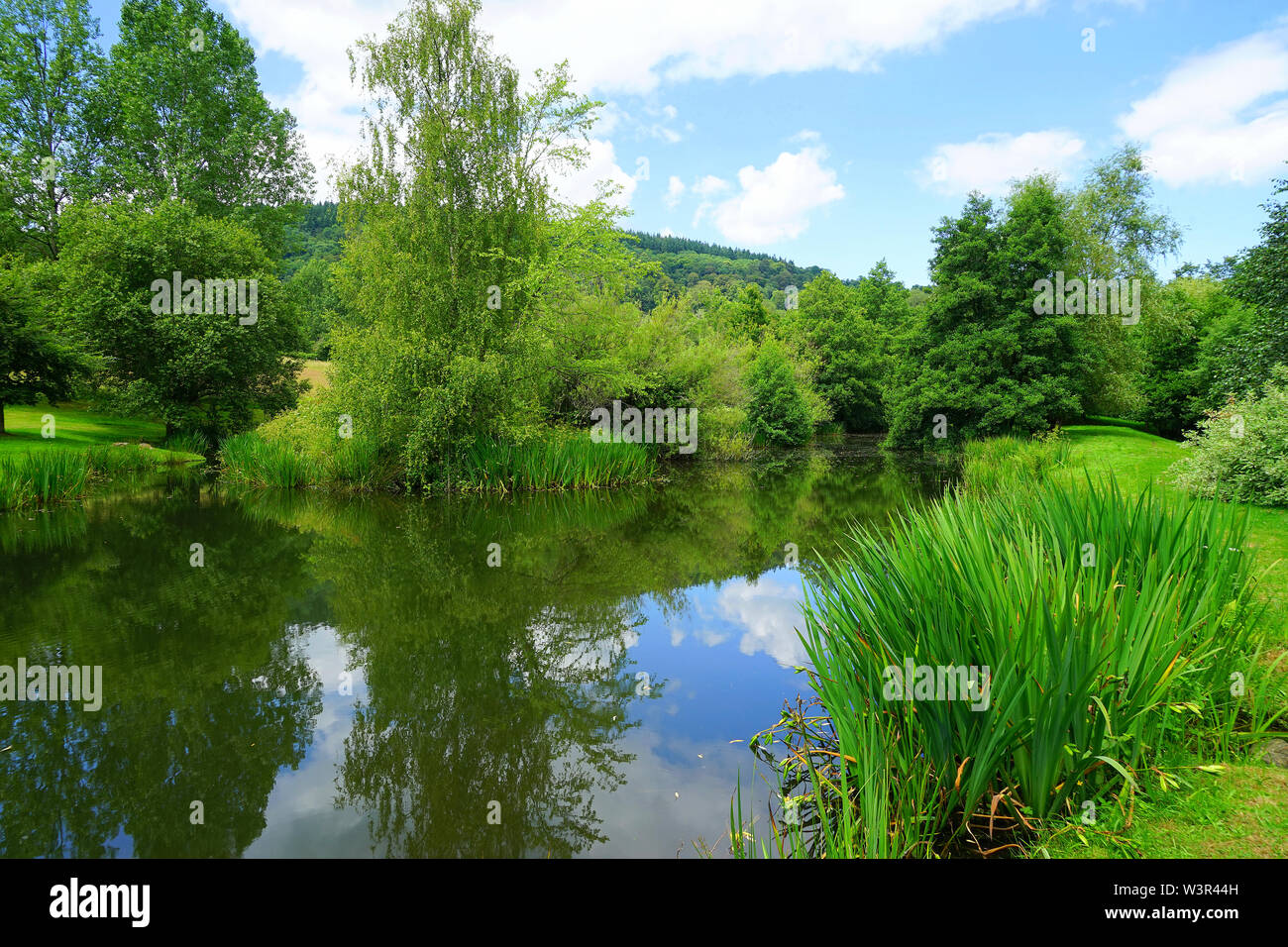Chutes canonteign Banque de photographies et d’images à haute ...