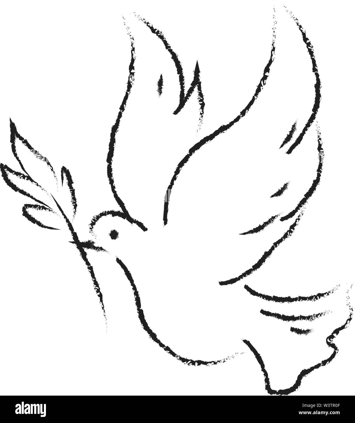 Dessin de colombe, illustration, vecteur sur fond blanc Image ...