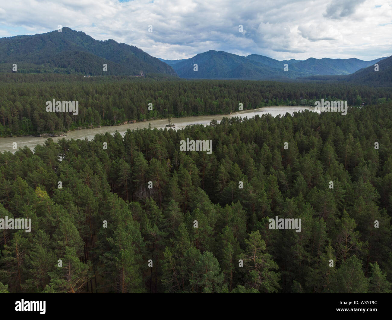 Foret taiga république altaï Banque de photographies et d’images à ...