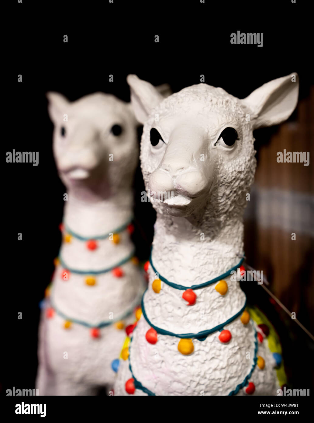 Yeux de lama Banque de photographies et d’images à haute résolution - Alamy