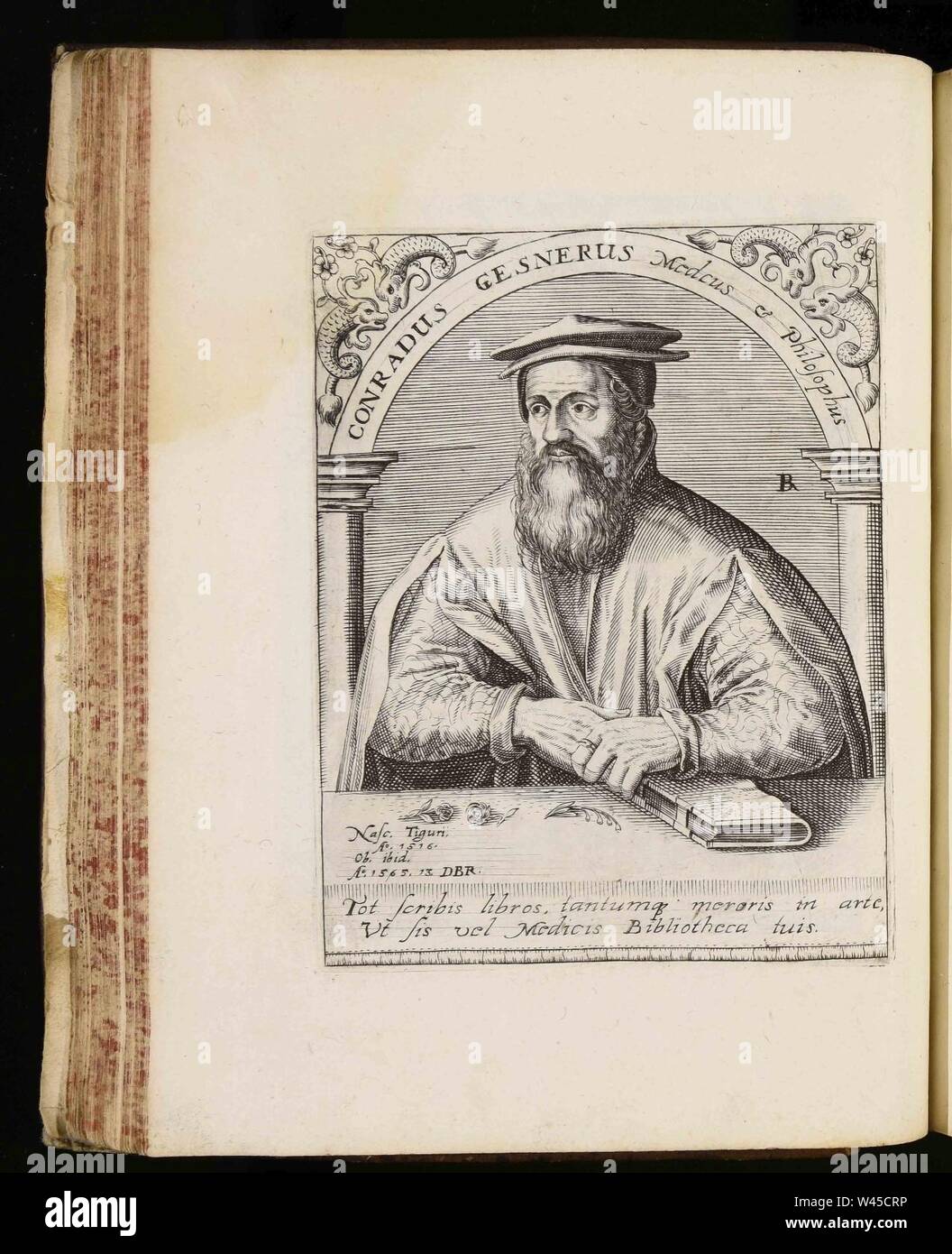 Conrad gessner Banque de photographies et d’images à haute résolution ...