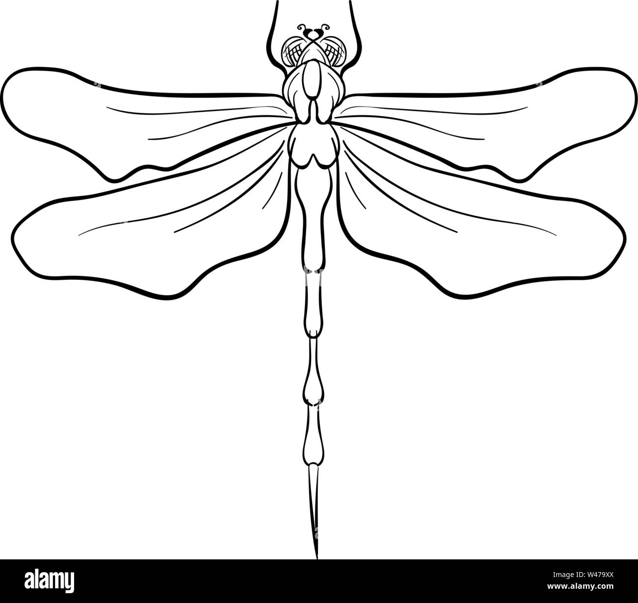 Dragonfly drawing Banque de photographies et d’images à haute ...