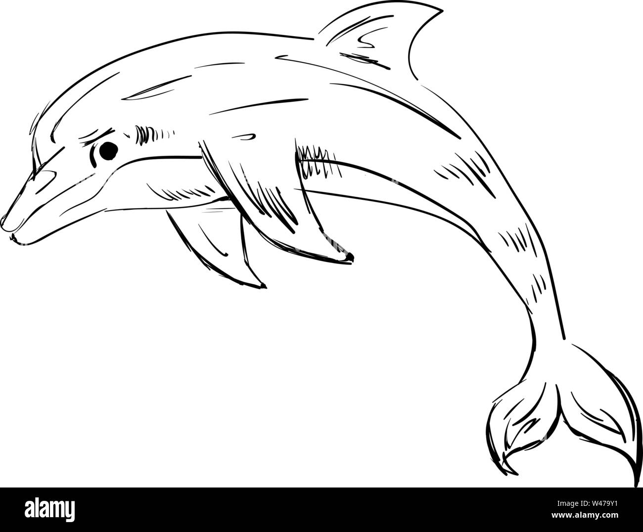Dolphin drawing Banque de photographies et d’images à haute résolution ...
