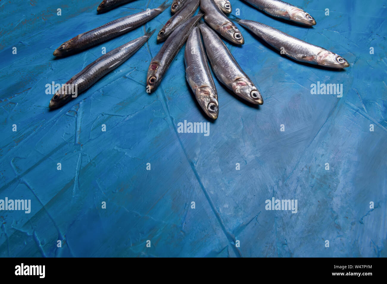 Modèle de poisson d'un groupe d'anchois est flottant sur un fond bleu ...