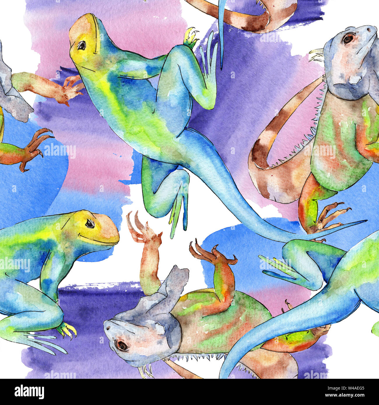 Iguana exotiques animal sauvage. Contexte aquarelle illustration set ...