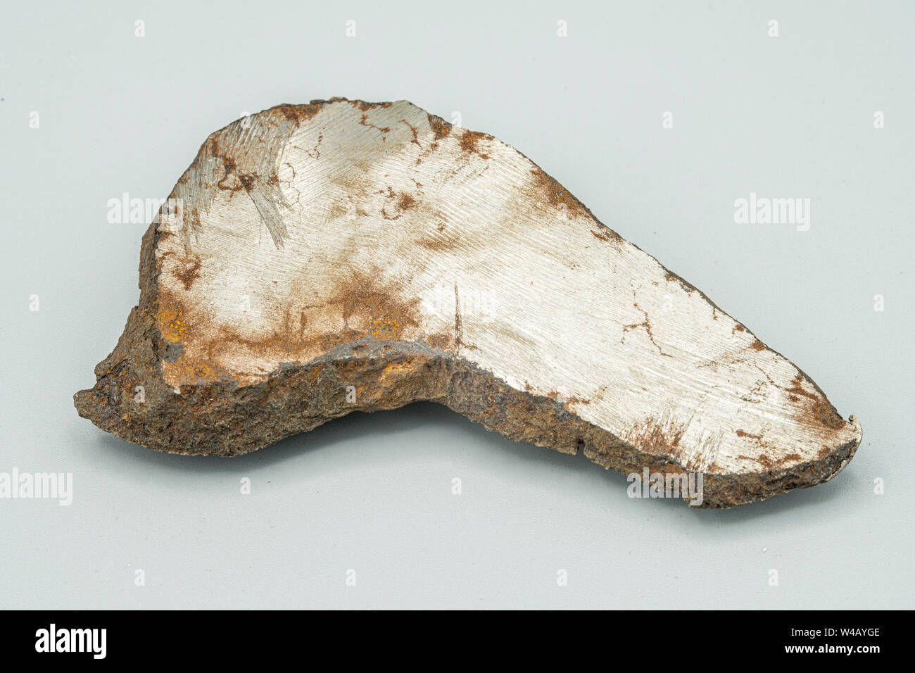 Coupe d'une météorite métallique isolé, morceau de rock formé dans l ...