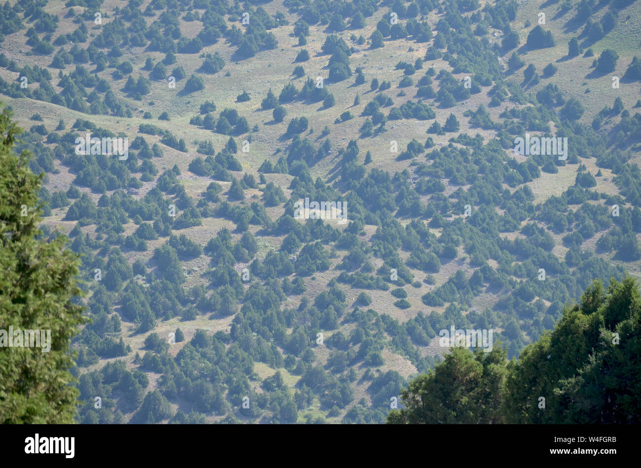 Montagnes Gissar Banque d'image et photos - Alamy