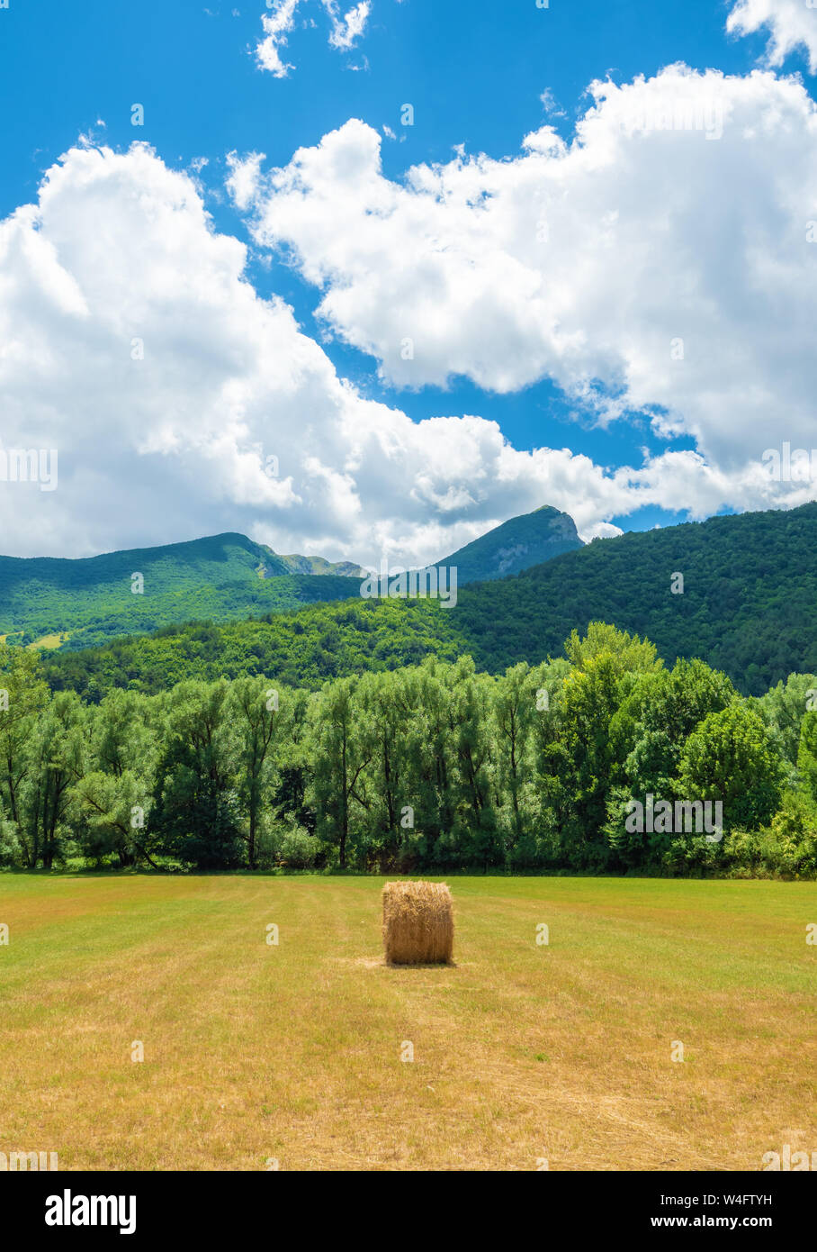 Parc National des Abruzzes, Latium et Molise (Italie) - l'été dans la ...