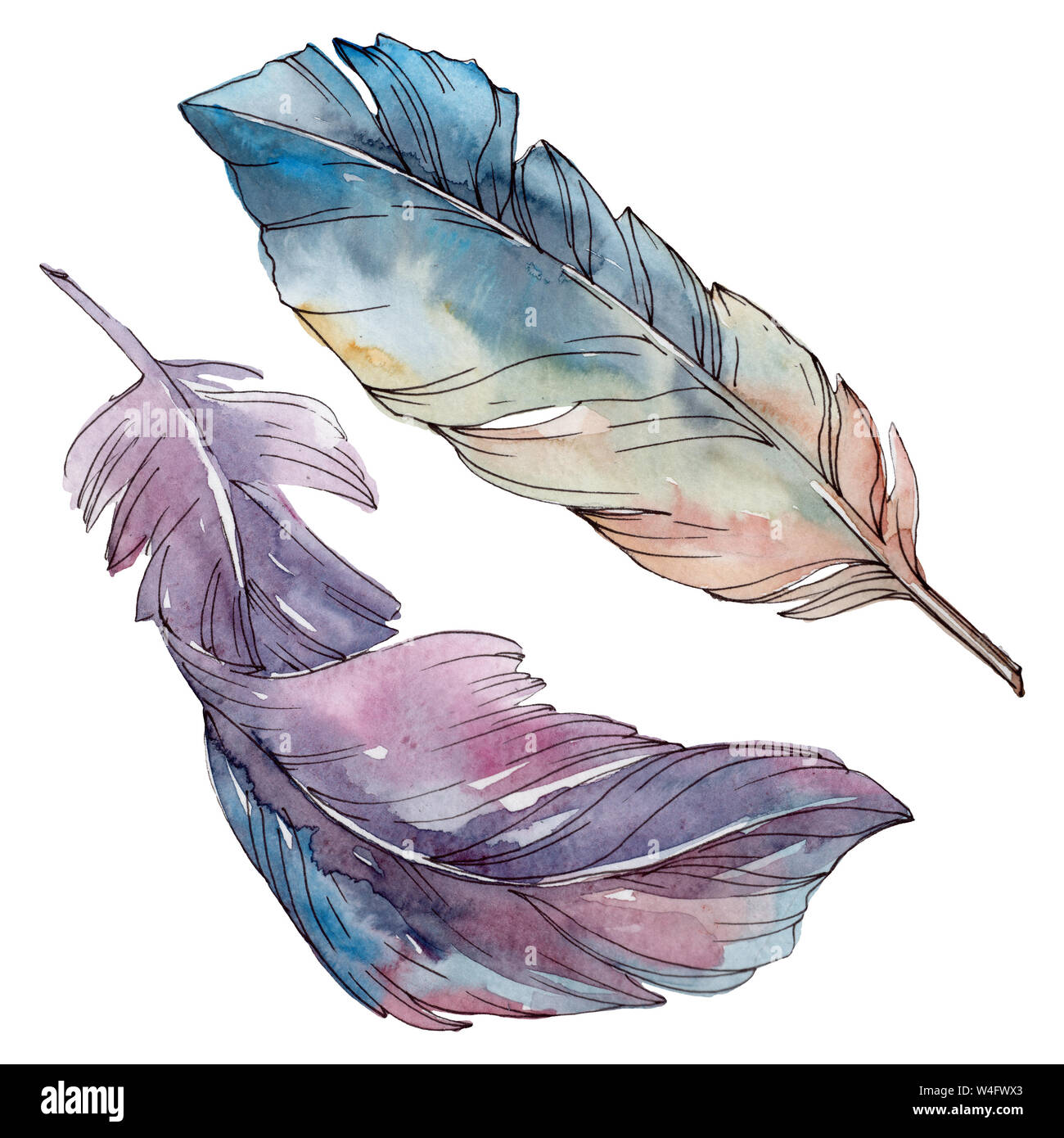 Dessin de plumes Banque de photographies et d’images à haute résolution ...