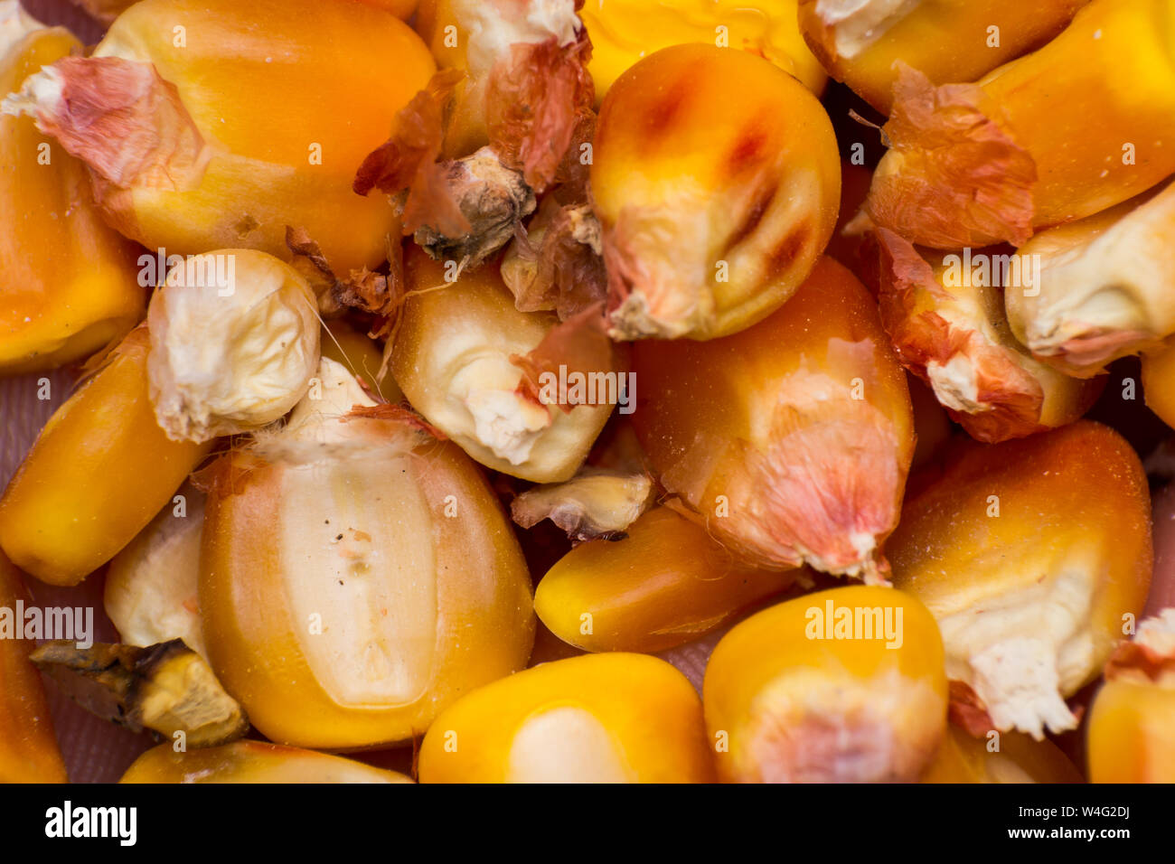 Grain sec Banque de photographies et d’images à haute résolution - Alamy