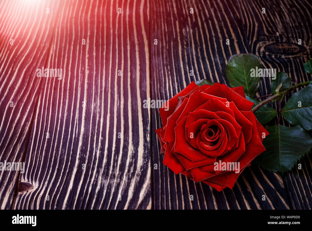 Roses en bois Banque de photographies et d’images à haute résolution ...