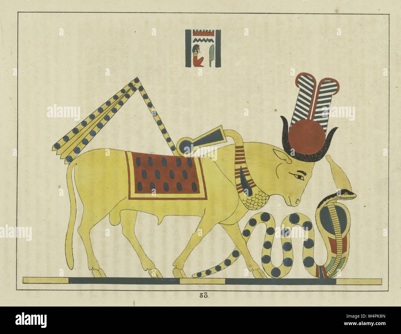 Apis taureau Banque de photographies et d’images à haute résolution - Alamy