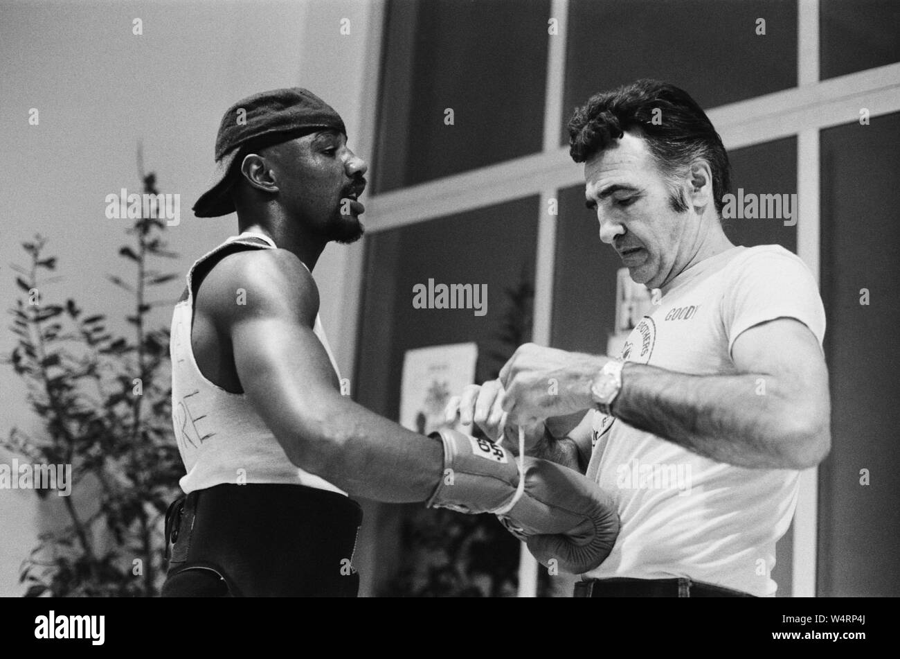 Goody petronelli Banque de photographies et d’images à haute résolution ...